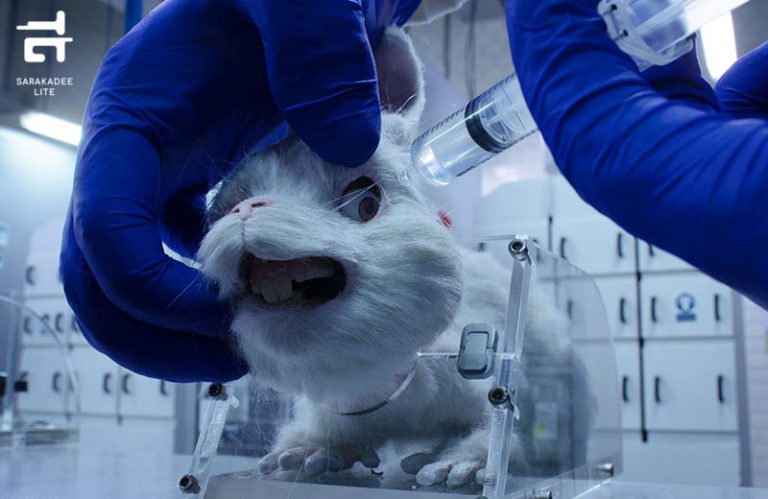 ทำไมใครๆ ต้อง Save Ralph แคมเปญยุติการใช้สัตว์ทดลองในอุตสาหกรรม ...